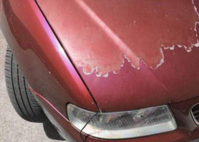 Ternyata, Ini Tiga Penyebab Cat Mobil Cepat Kusam dan Rusak | Mobilitas.id